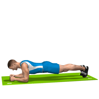 Plank: vedi l'esecuzione | evolutionfit
