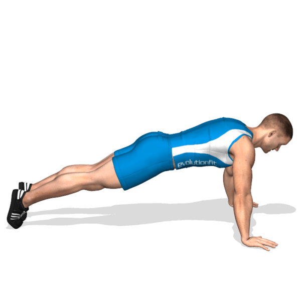 Plank braccia tese: vedi l'esecuzione | evolutionfit