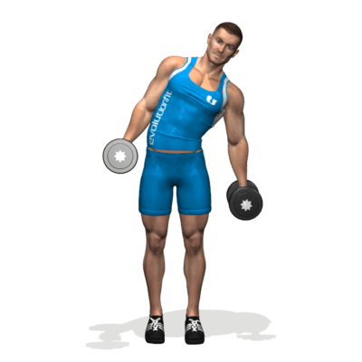 Piegamenti laterali 2 manubri in piedi: vedi l'esecuzione | evolutionfit