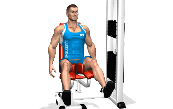 Esercizi adduttori: vedi i migliori - pagina 1 | evolutionfit