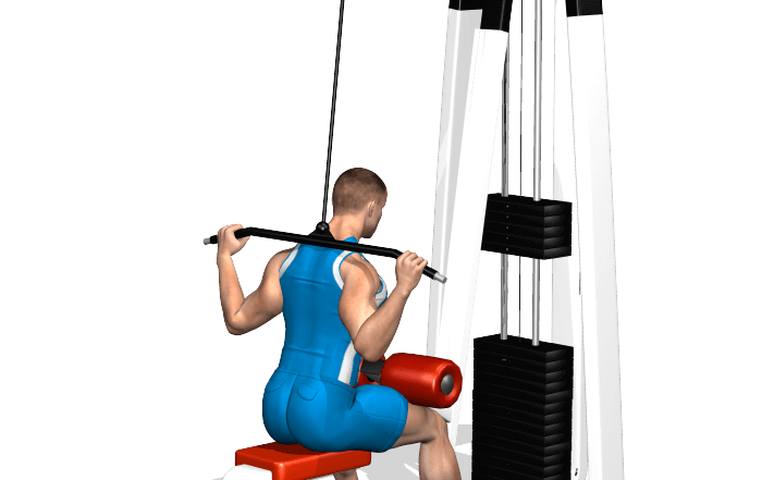 Esercizi dorsali: vedi i migliori - pagina 1 | evolutionfit