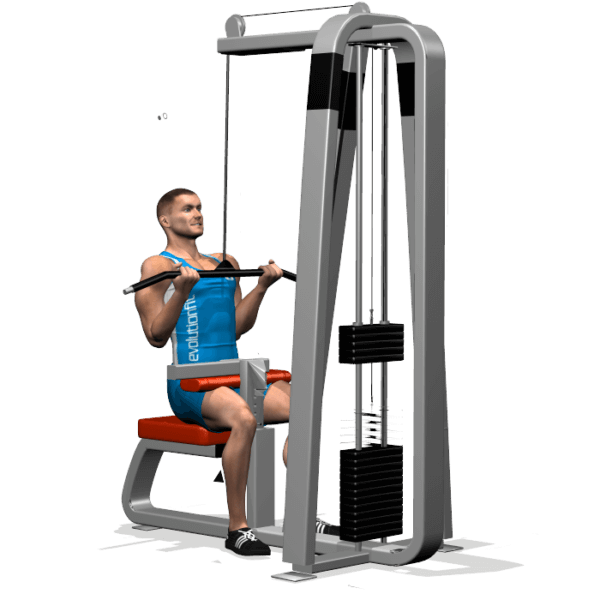 Lat machine inverso: vedi l'esecuzione | evolutionfit
