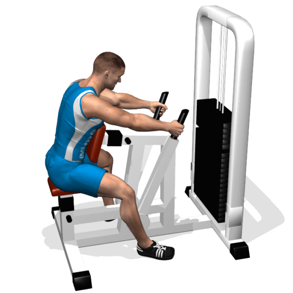 Low row: vedi l'esecuzione | evolutionfit