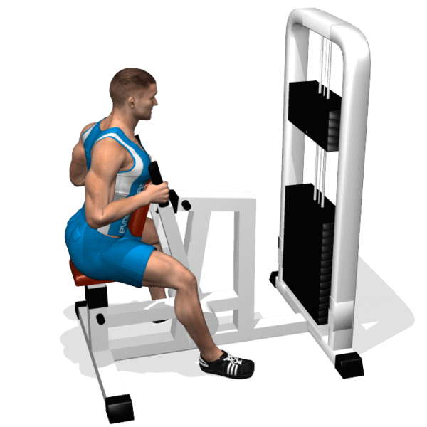 Low row: vedi l'esecuzione | evolutionfit