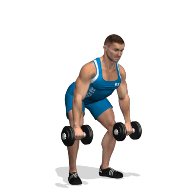 Rematore 2 manubri: vedi l'esecuzione | evolutionfit