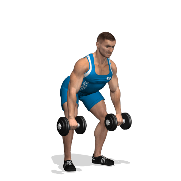 Rematore 2 manubri: vedi l'esecuzione | evolutionfit