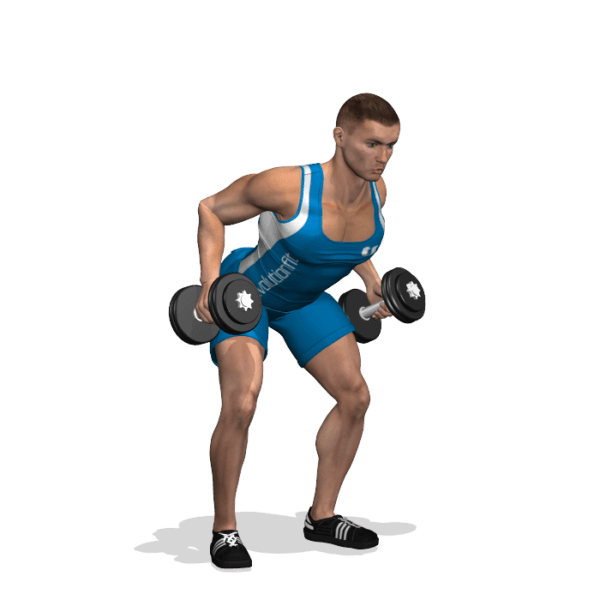 Rematore 2 manubri: vedi l'esecuzione | evolutionfit