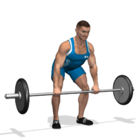 Rematore bilanciere: vedi l'esecuzione | evolutionfit