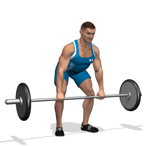 Rematore bilanciere: vedi l'esecuzione | evolutionfit