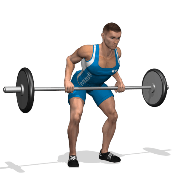 Rematore bilanciere: vedi l'esecuzione | evolutionfit