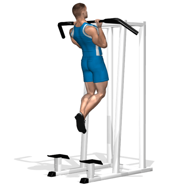 Trazioni alla sbarra presa inversa: vedi l'esecuzione | evolutionfit