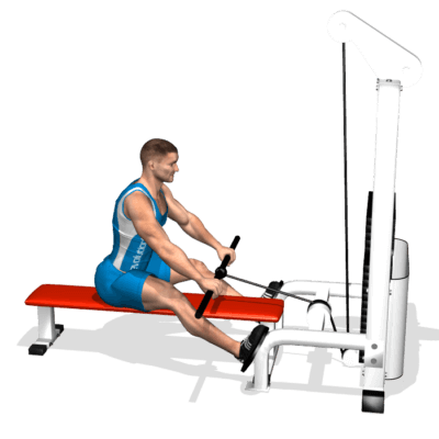 Pulley basso: vedi l'esecuzione | evolutionfit