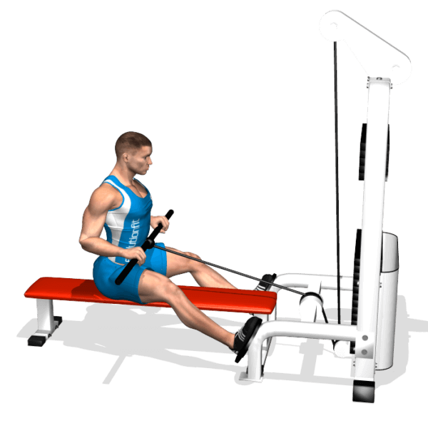 Pulley basso: vedi l'esecuzione | evolutionfit