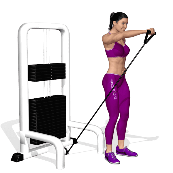 Software schede palestra e app allenamento | evolutionfit