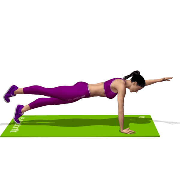 Software schede palestra e app allenamento | evolutionfit