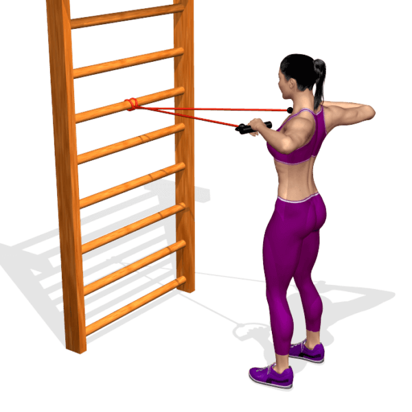 Software schede palestra e app allenamento | evolutionfit