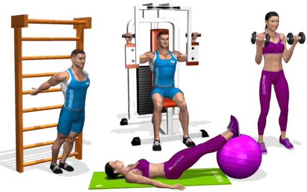 Archivio esercizi software allenamento | evolutionfit