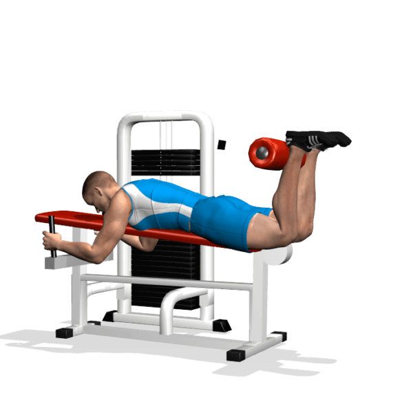 Leg curl sdraiato: vedi l'esecuzione | evolutionfit