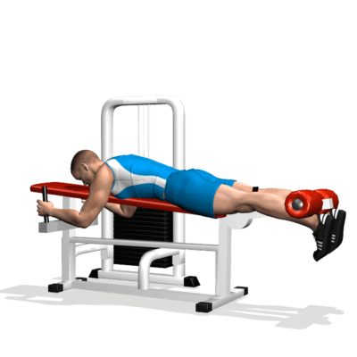 Leg curl sdraiato: vedi l'esecuzione | evolutionfit