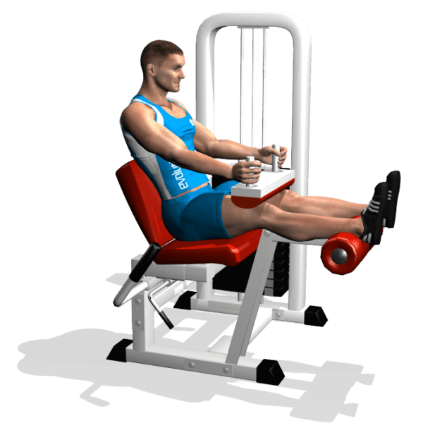 Leg curl seduto: vedi l'esecuzione | evolutionfit