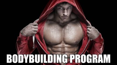 Bodybuilding training program, la guida completa per il bodybuilding | evolutionfit