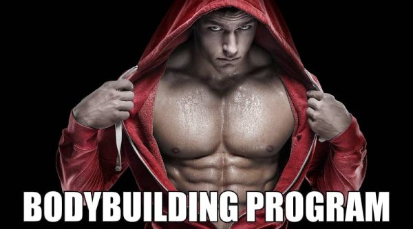Bodybuilding training program, la guida completa per il bodybuilding | evolutionfit