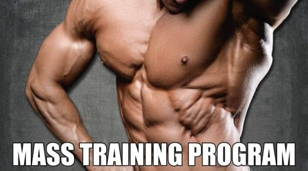 Mass training program, la guida completa per l'aumento della massa ...