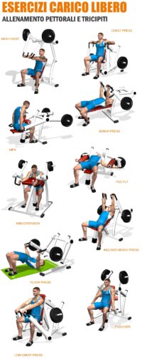Nuovi esercizi : 10 esercizi alle macchine a carico libero per allenare ...