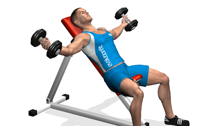 Esercizi panca inclinata: vedi i migliori - pagina 1 | evolutionfit
