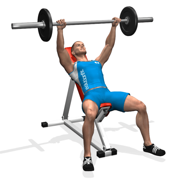 Spinte panca alta bilanciere: vedi l'esecuzione | evolutionfit