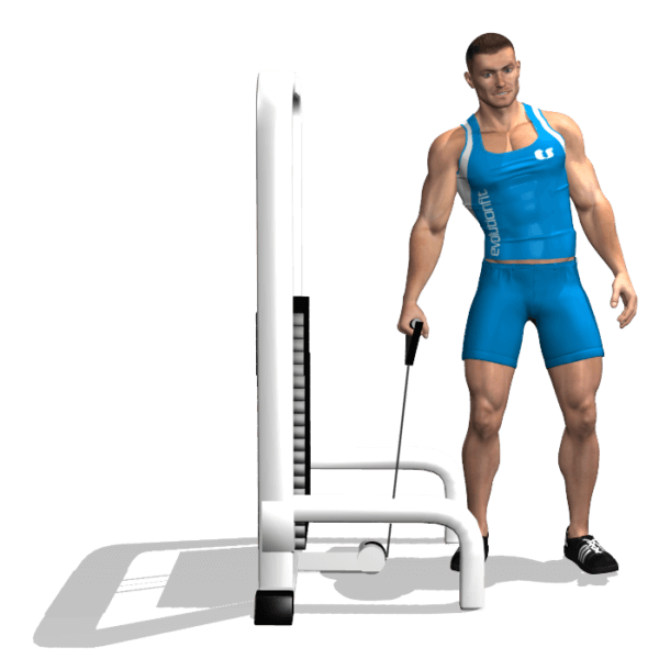 Piegamenti laterali ai cavi: vedi l'esecuzione | evolutionfit