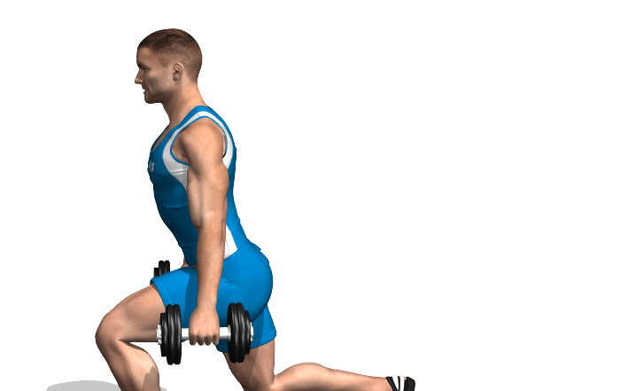 Esercizi manubri: vedi i migliori - pagina 1 | evolutionfit