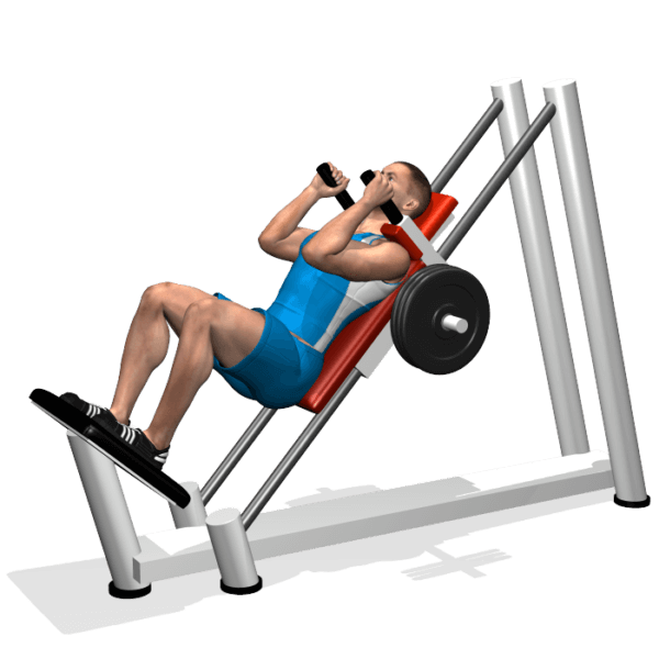 Hack squat: vedi l'esecuzione | evolutionfit