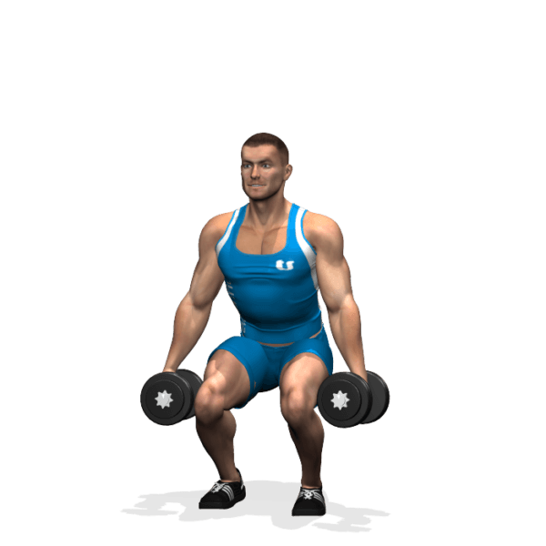Squat 2 manubri: vedi l'esecuzione | evolutionfit