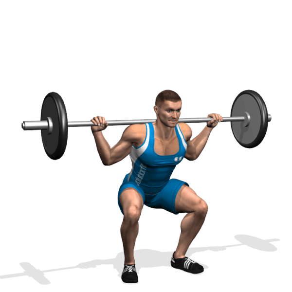 Squat bilanciere parallelo: vedi l'esecuzione | evolutionfit