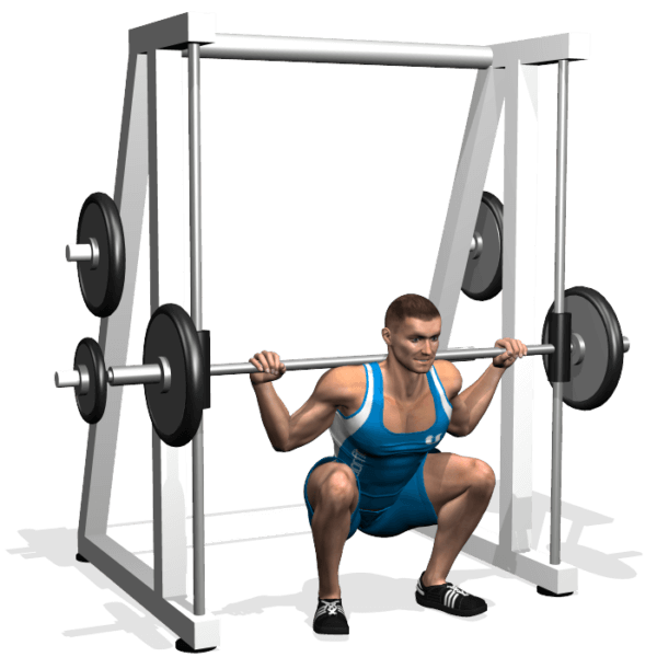 Squat al multipower: vedi l'esecuzione | evolutionfit