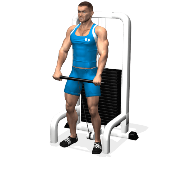 Alzate frontali ai cavi: vedi l'esecuzione | evolutionfit