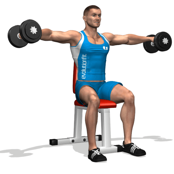 Volare seduto 2 manubri: vedi l'esecuzione | evolutionfit
