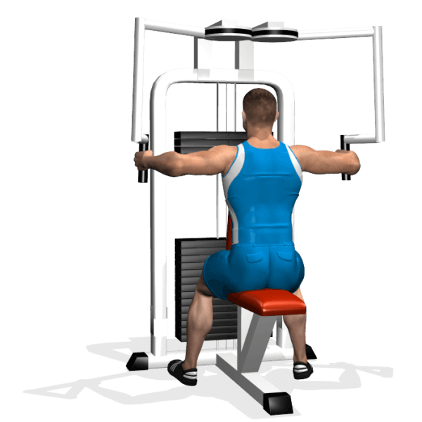 Aperture peck back: vedi l'esecuzione | evolutionfit