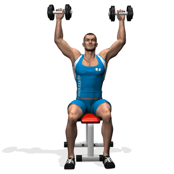 Spinte seduto 2 manubri: vedi l'esecuzione | evolutionfit