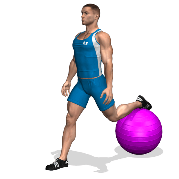 Squat bulgaro su fitball: vedi l'esecuzione | evolutionfit